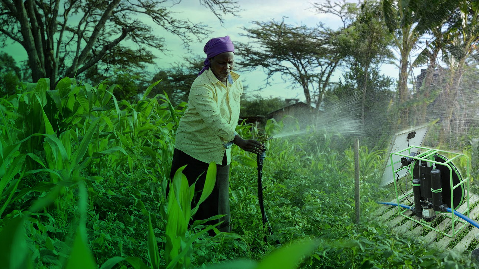 Agrio - Solar Irrigation Solutions for African Farmers